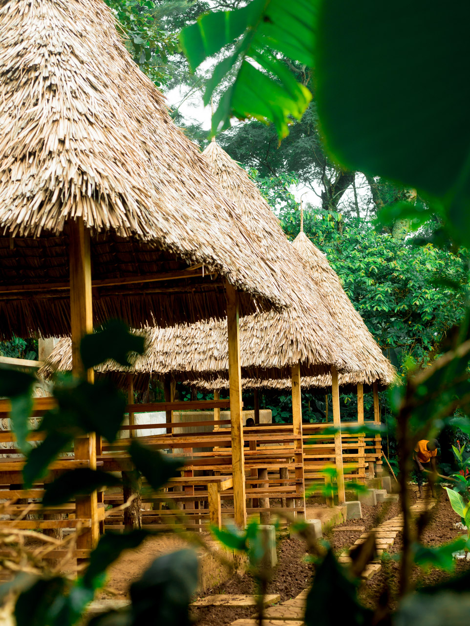 Camping Area - Materuni Village Experience